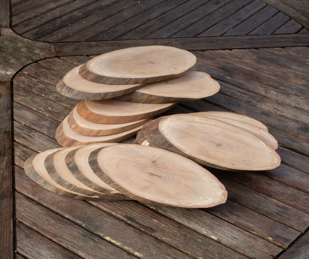 Large Oval Ash Wood Slices Plinths Bases Craft Coasters Painting Art - Etsy