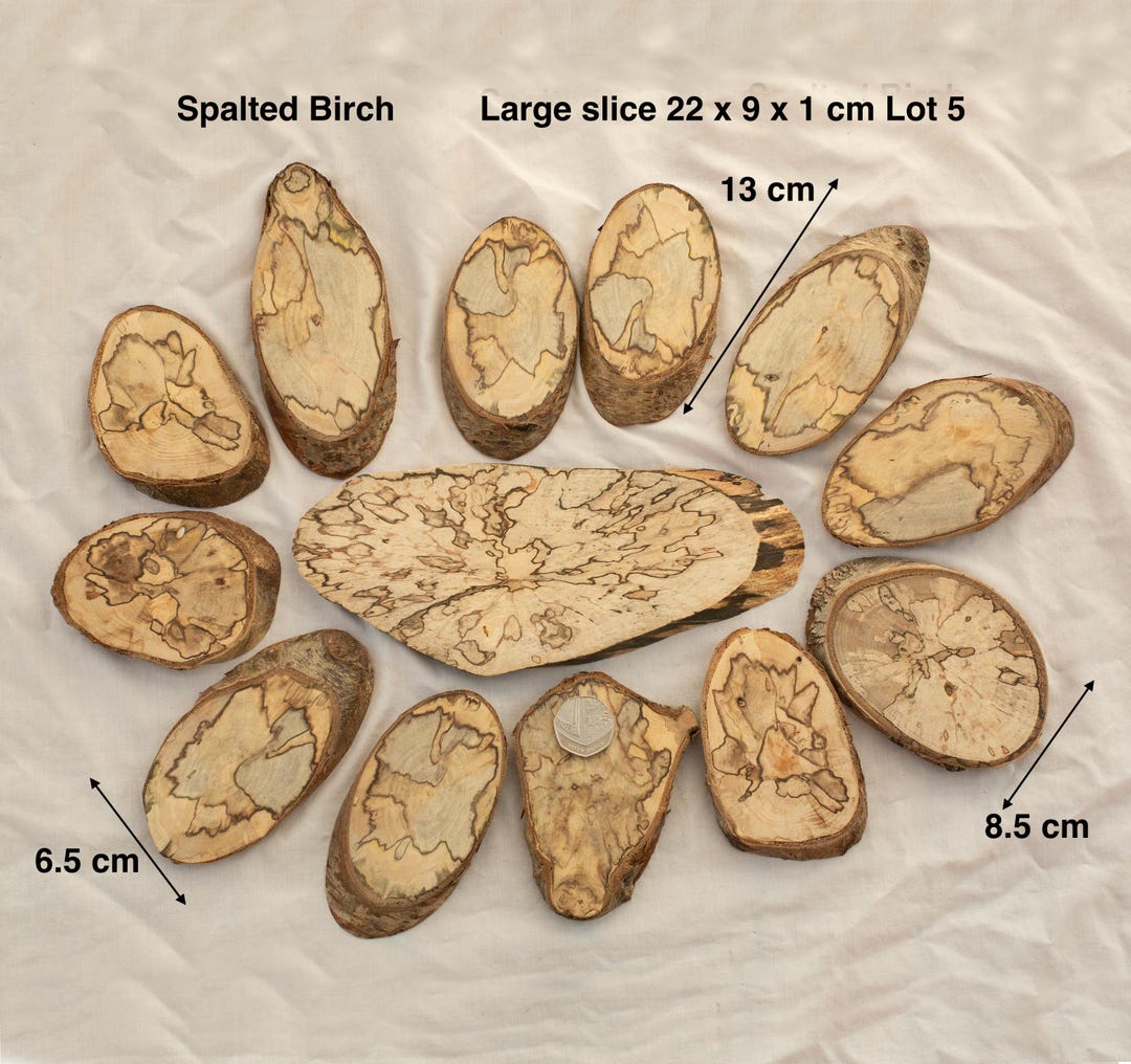 Silver Birch Slices - Various Sizes - Tree Decorations - Cookies ...