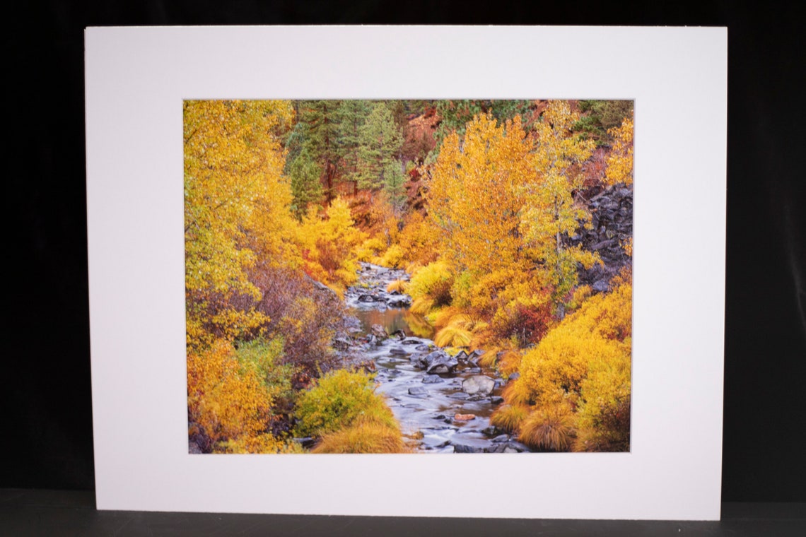 Susan River Fall Colors Rainy Autumn Day on the Bizz Johnson Trail Near ...