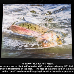 Susan River Fall Colors Rainy Autumn Day on the Bizz Johnson Trail Near ...