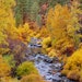 Susan River Fall Colors Rainy Autumn Day on the Bizz Johnson Trail Near ...