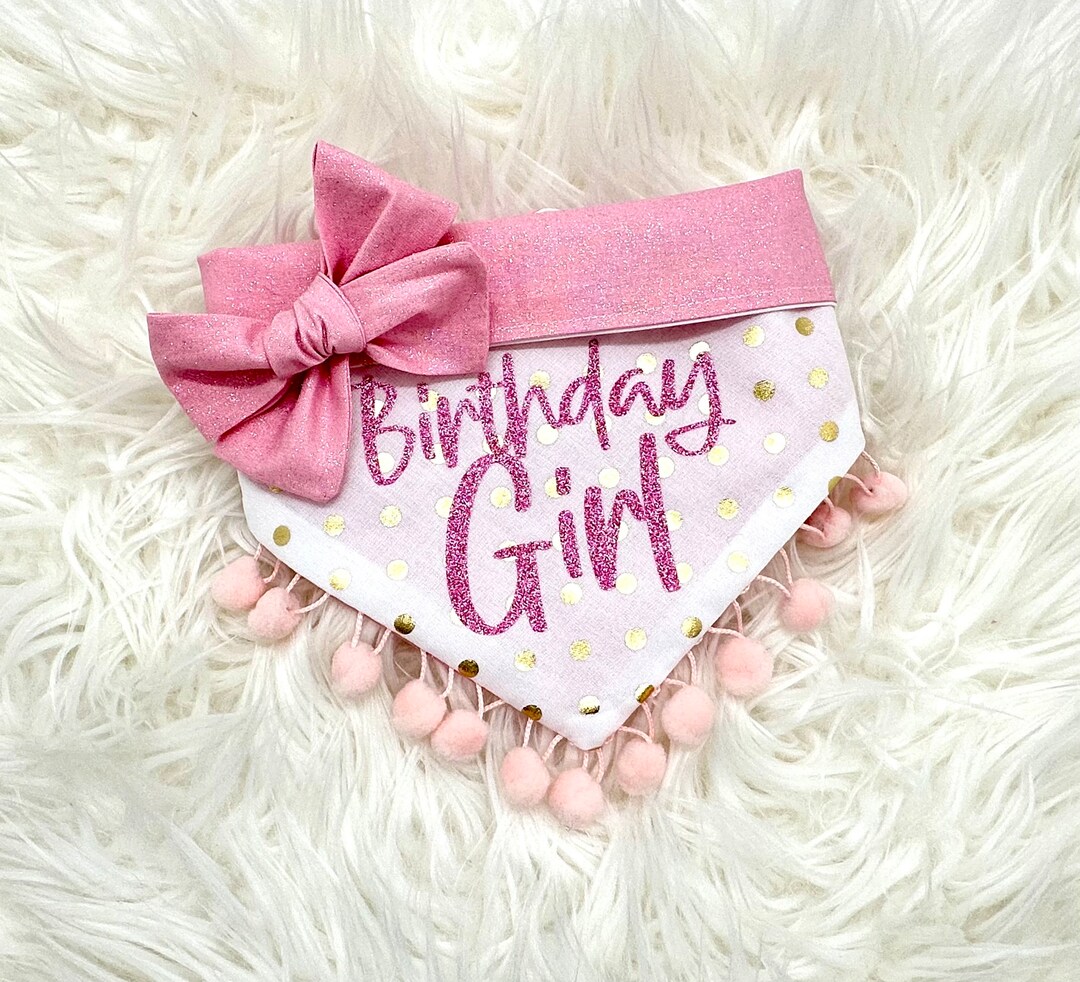 Snap On...reversible GLITTER Birthday Girl Pink and Gold Dog Bandana ...