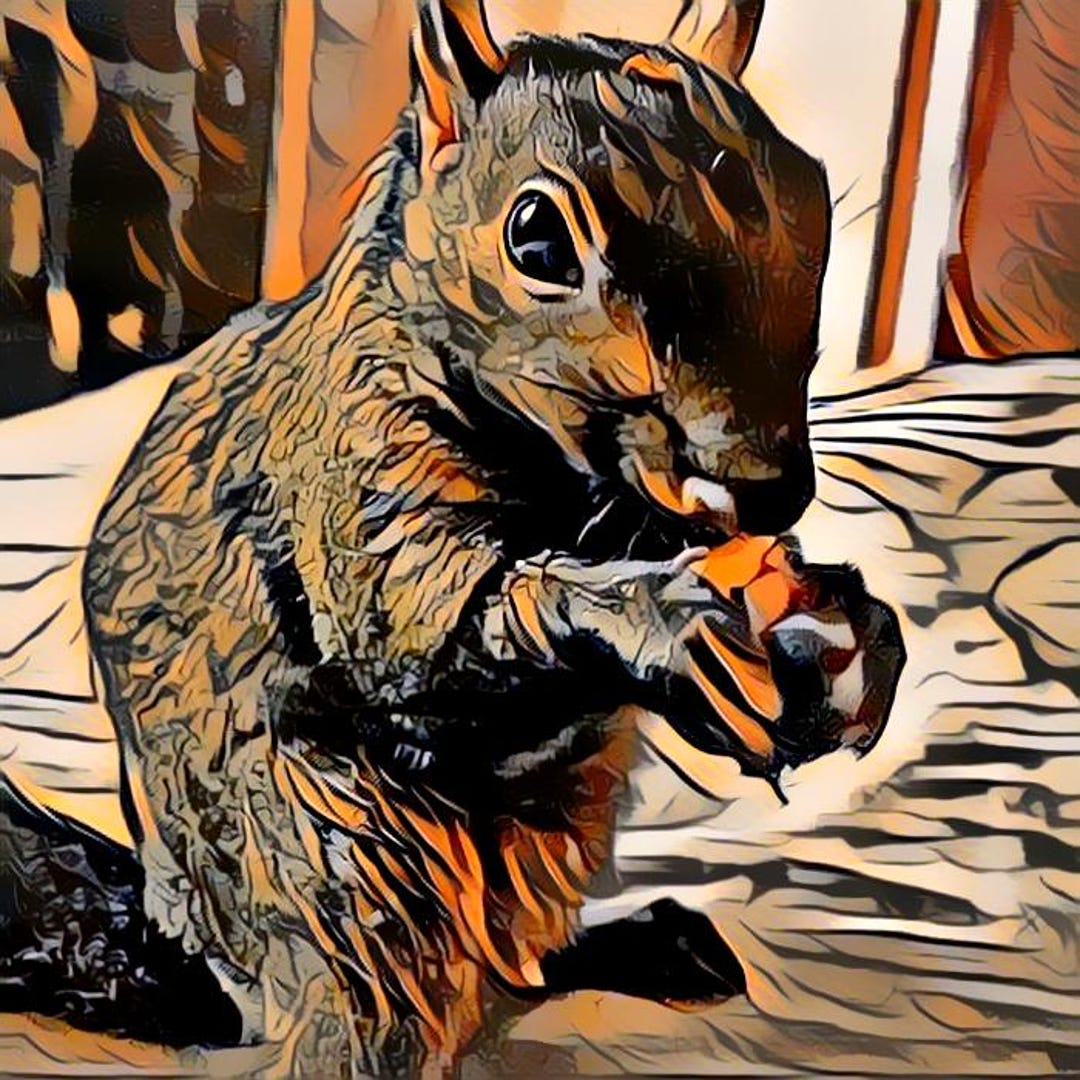 In Loving Memory of Peanut (all Proceeds Earned From the Sale of This ...