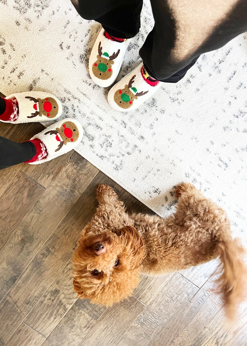 Reindeer Slippers, Christmas Gifts, Gift for Her, Cute Gifts, Cozy ...