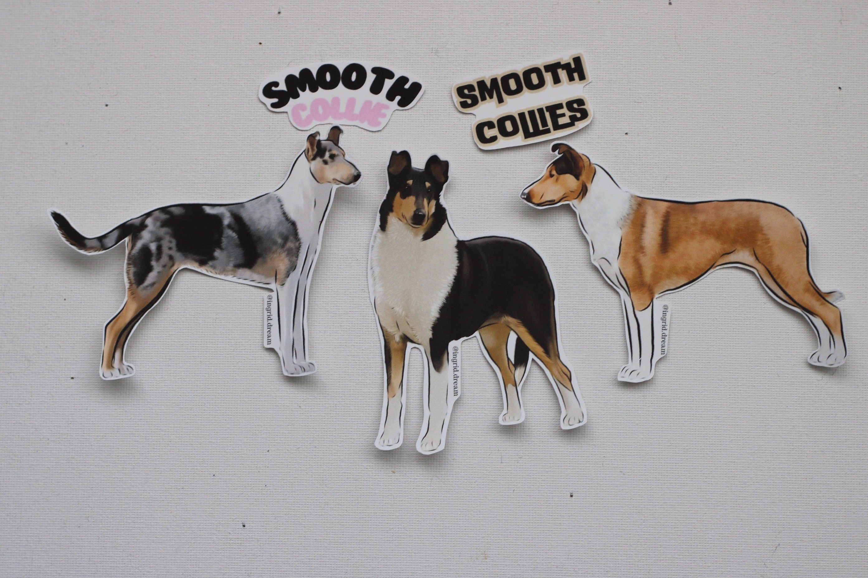 Adorable Smooth Collie Dog Sticker Perfect for Collie Lovers and ...