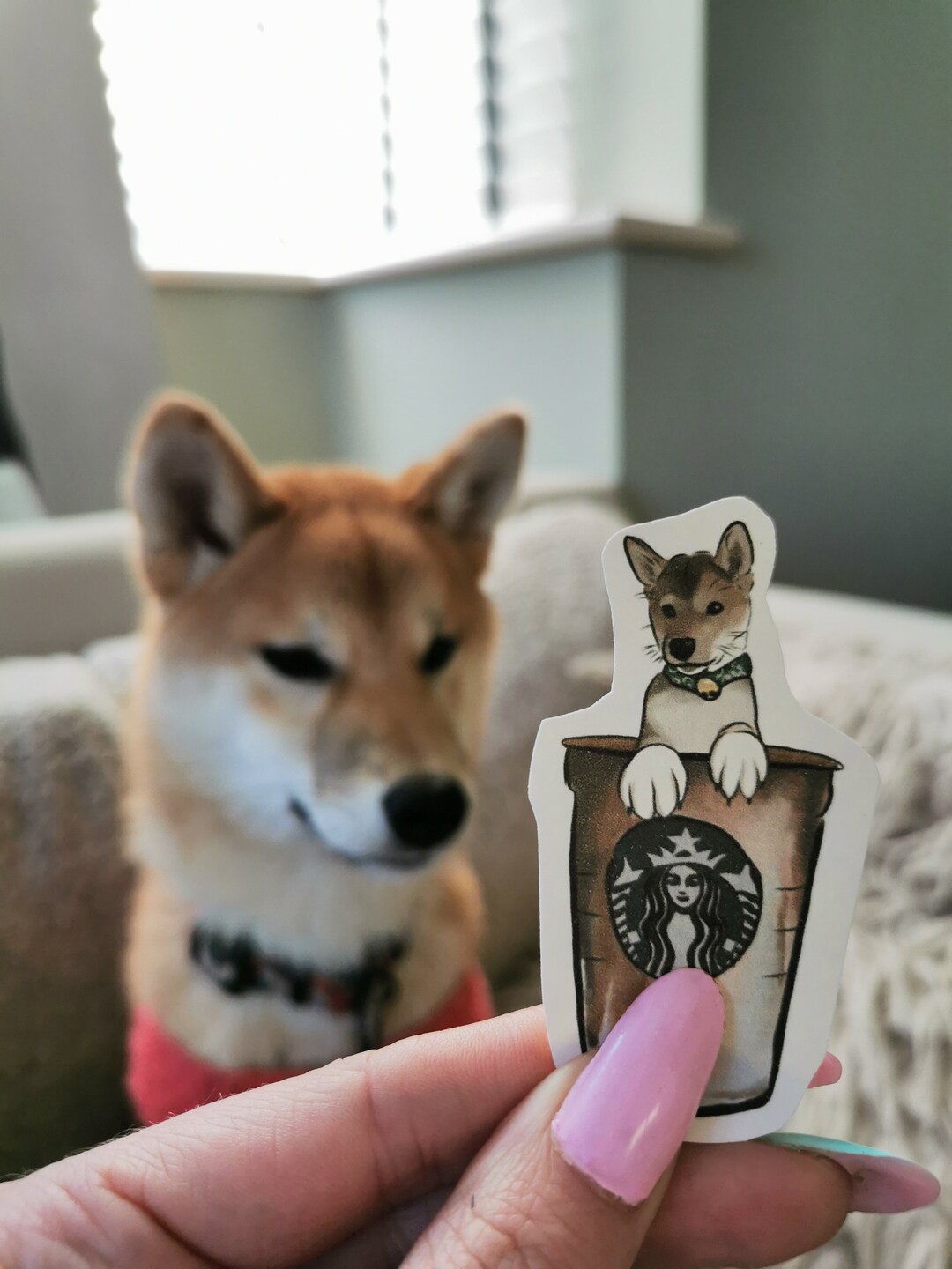 Shiba Inu Starbucks Sticker Coffee Shiba Inu Sticker Mothers Day Gift ...