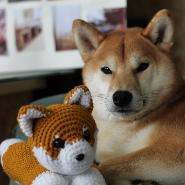 Shiba Inu Plush - Etsy