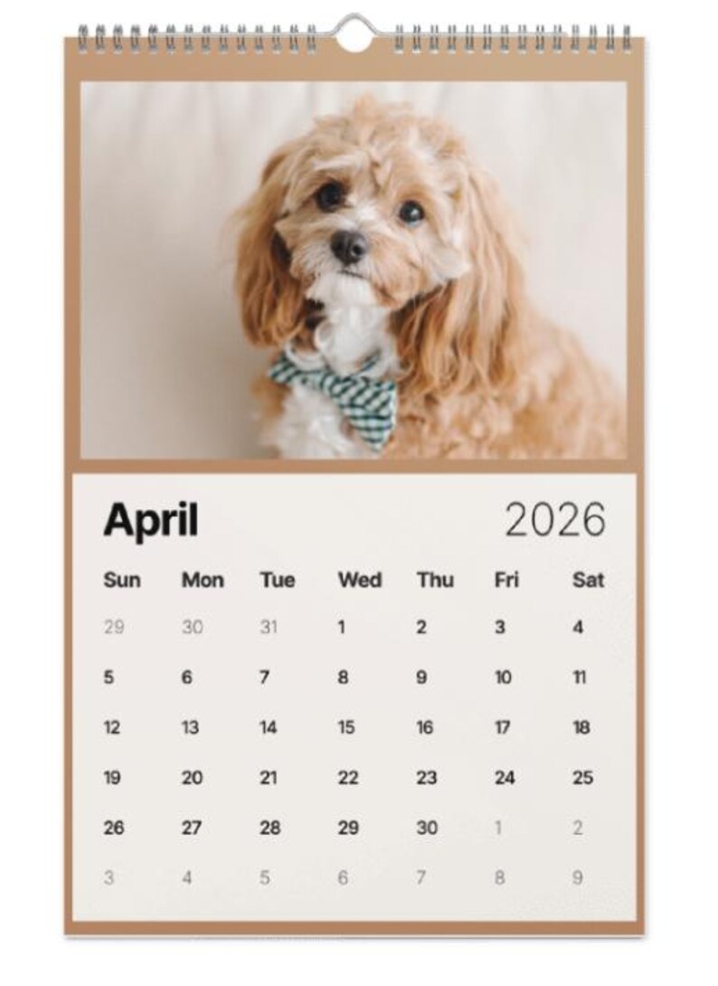 2026 Cavapoo Wall Calendar - Etsy