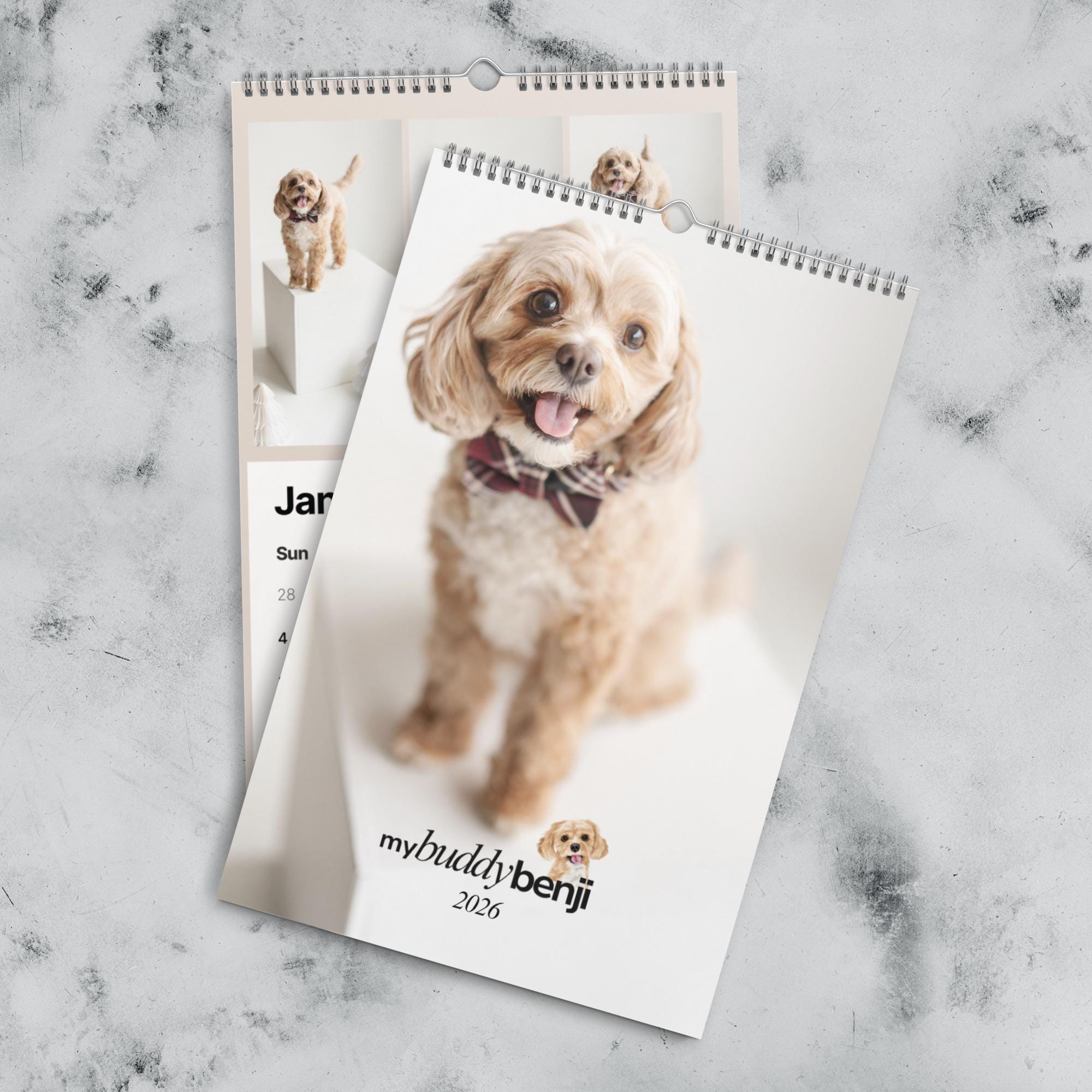 2026 Cavapoo Wall Calendar - Etsy