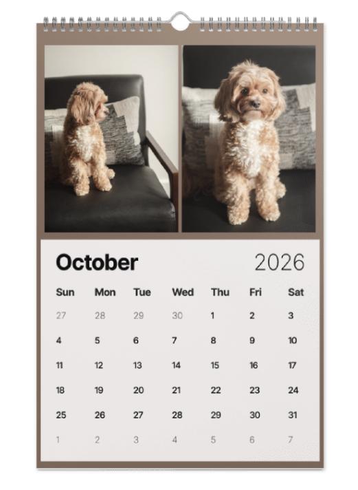 2026 Cavapoo Wall Calendar - Etsy