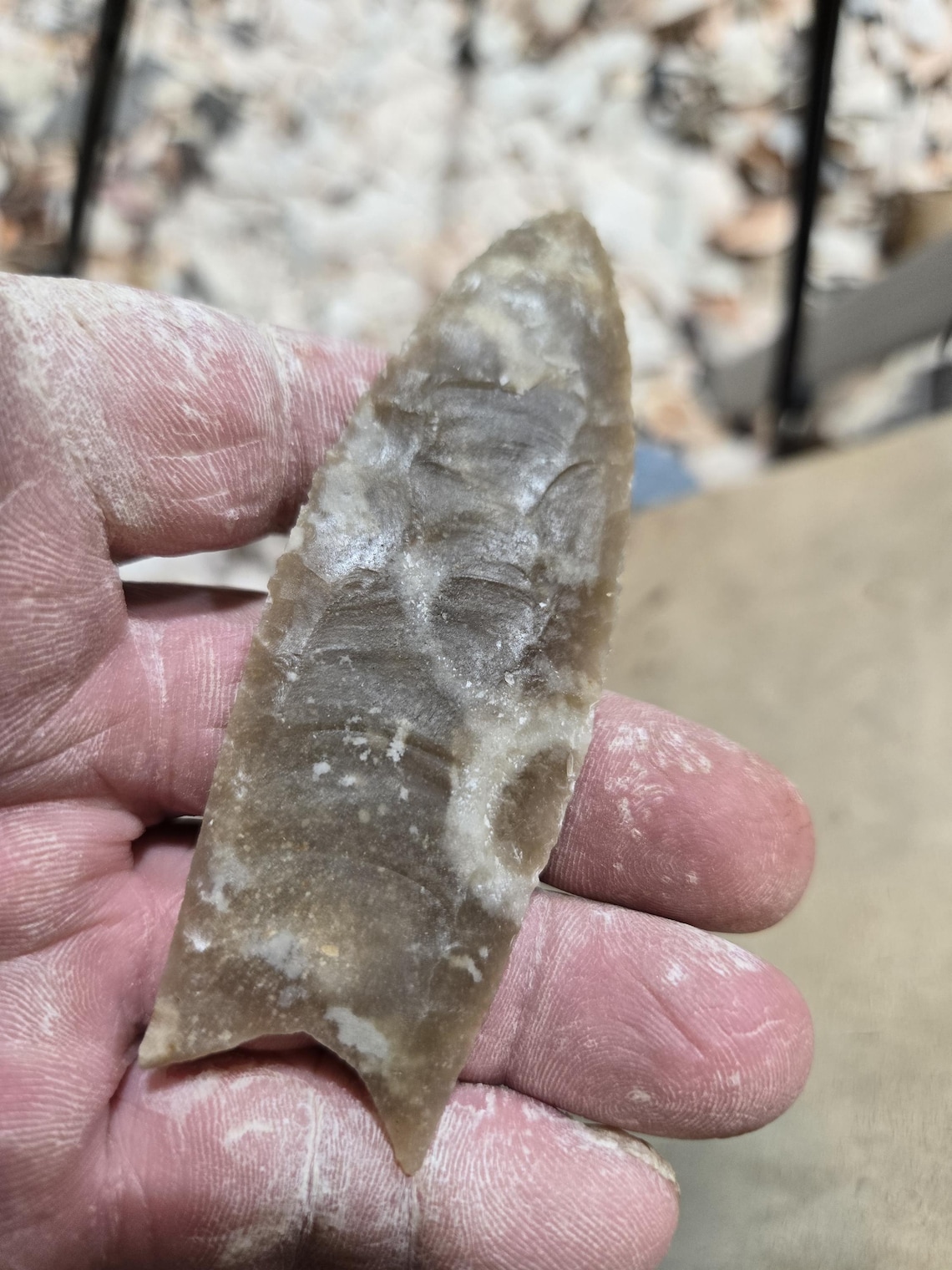 A Nice 3 3/4 Inch Clovis Point. - Etsy