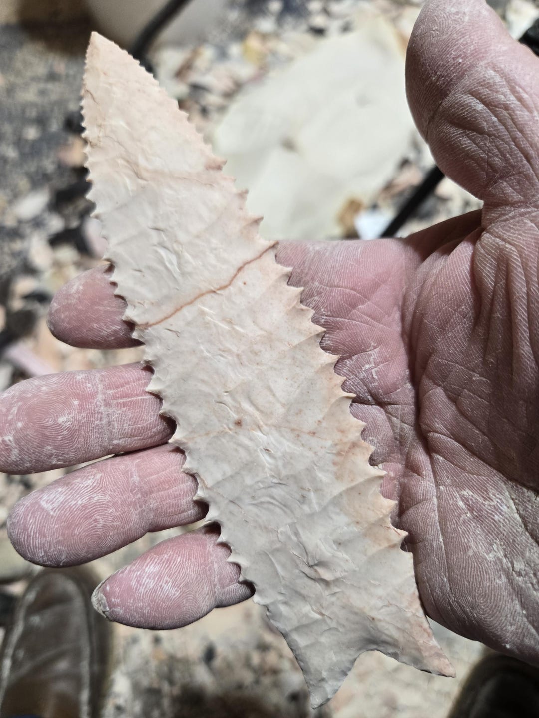 A Really Nice 6 7/8 Inch Serrated Dalton Point. - Etsy