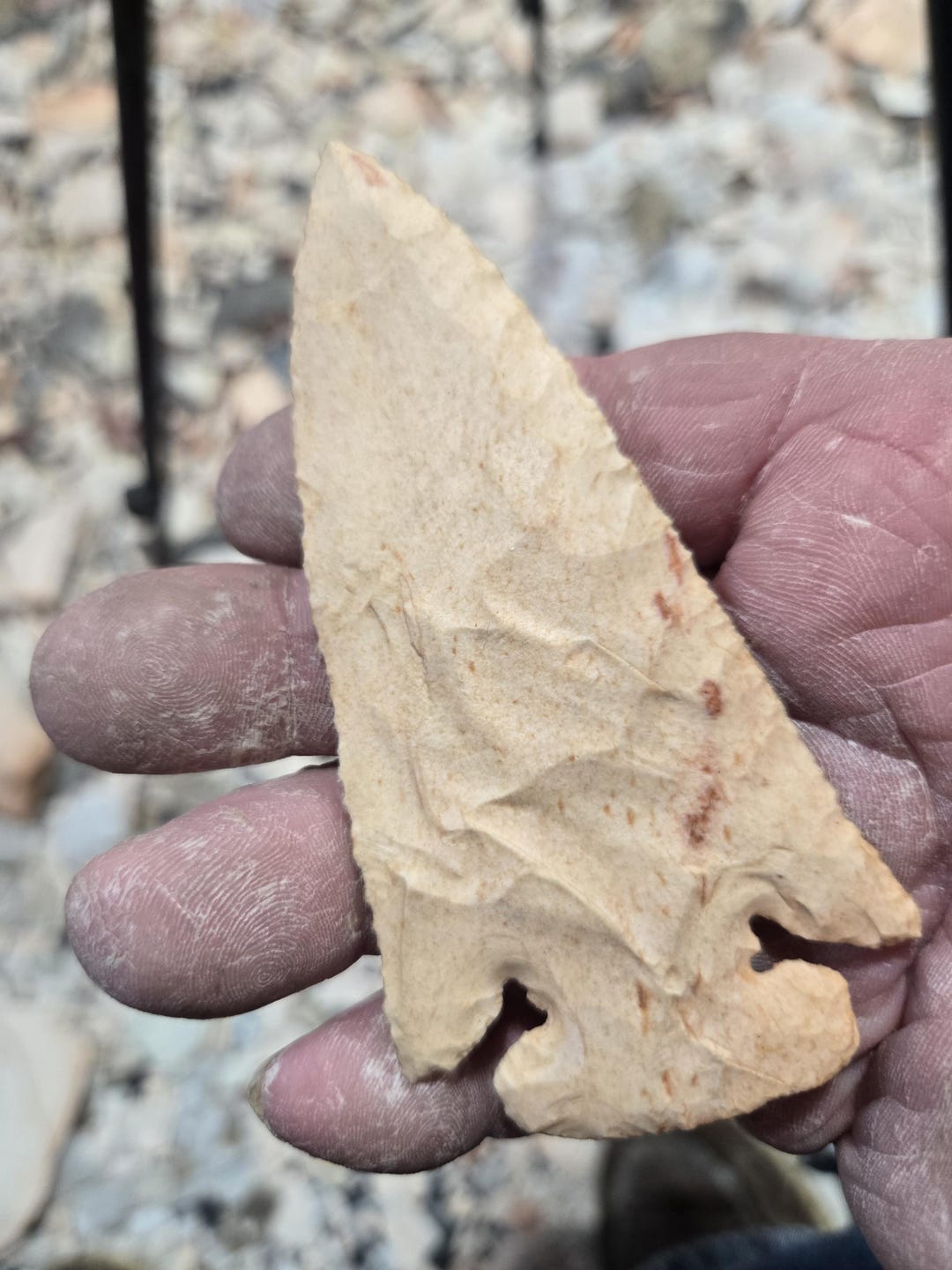 A Nice 4 Inch E Notch Thebes Point - Etsy