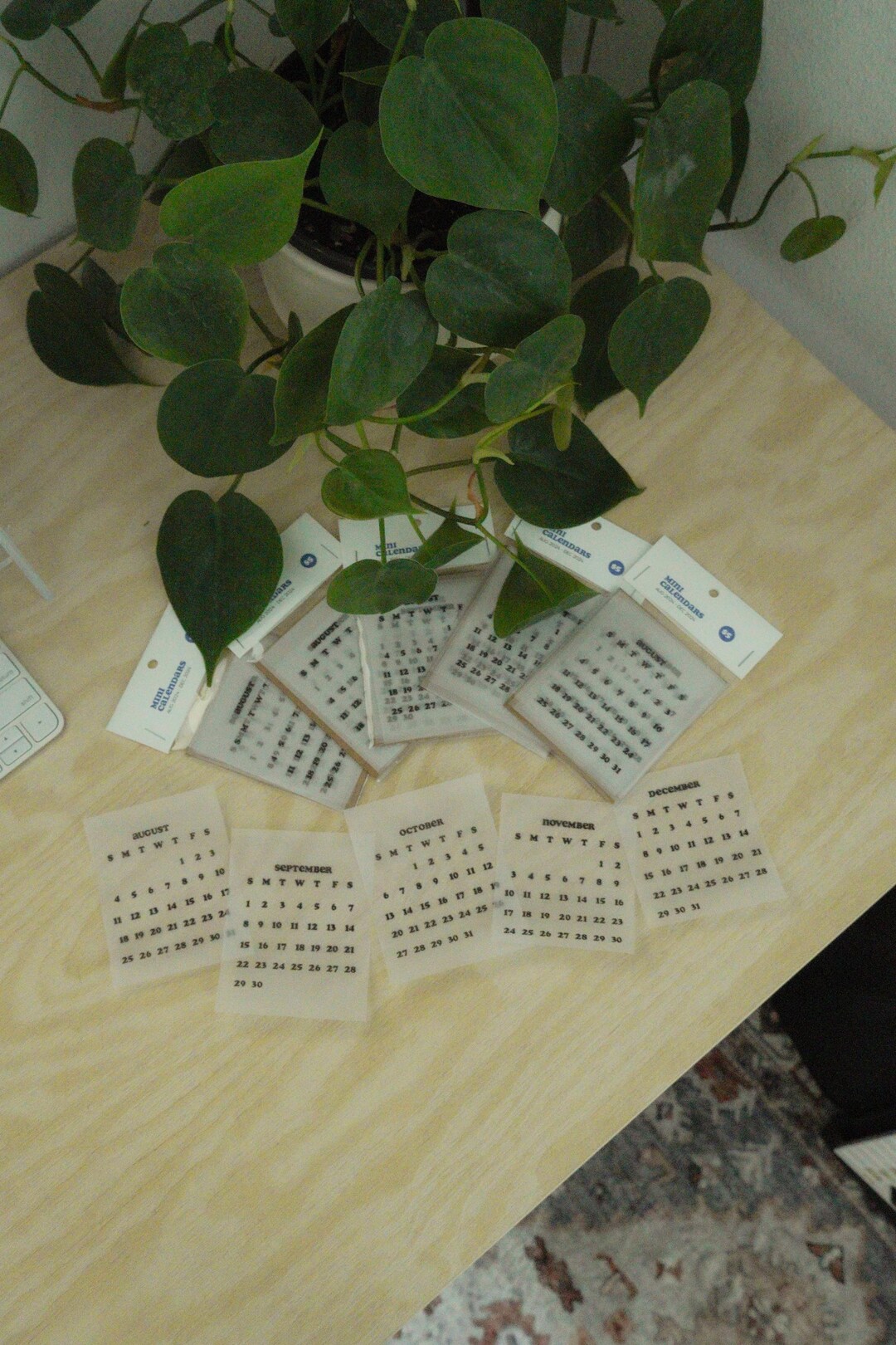 2025 Mini Calendar Pocket Sized Desk Calendar, Transparent Paper ...