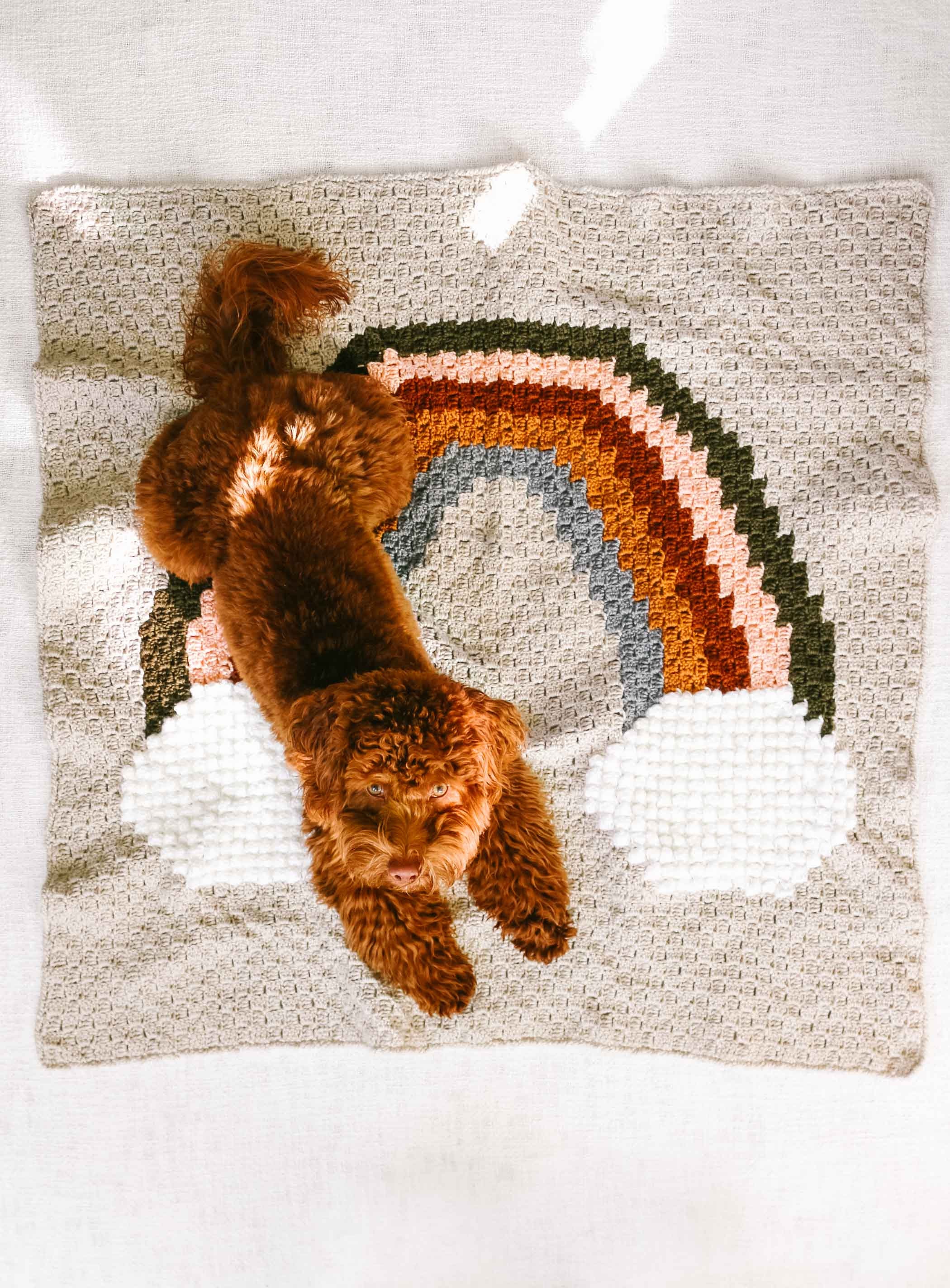 Crochet Pattern / Corner to Corner Blanket / C2C Crochet - Etsy