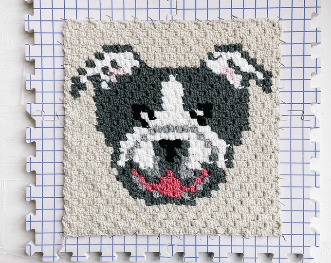 C2C Graph PITBULL C2C Crochet Graph With Row by Row Color Chart ...