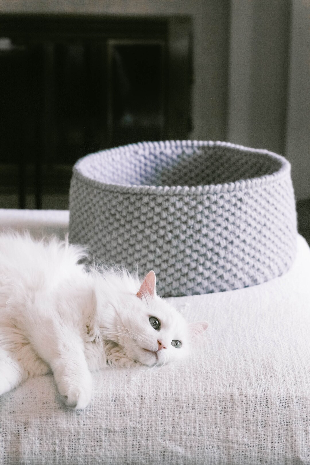 Crochet Pattern / Cat Bed / Dog Bed / Machine Washable / Modern/ Faux ...
