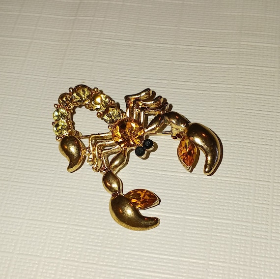 Amber Scorpion Pin / Vintage Estate Circa 1970 Sterli… - Gem
