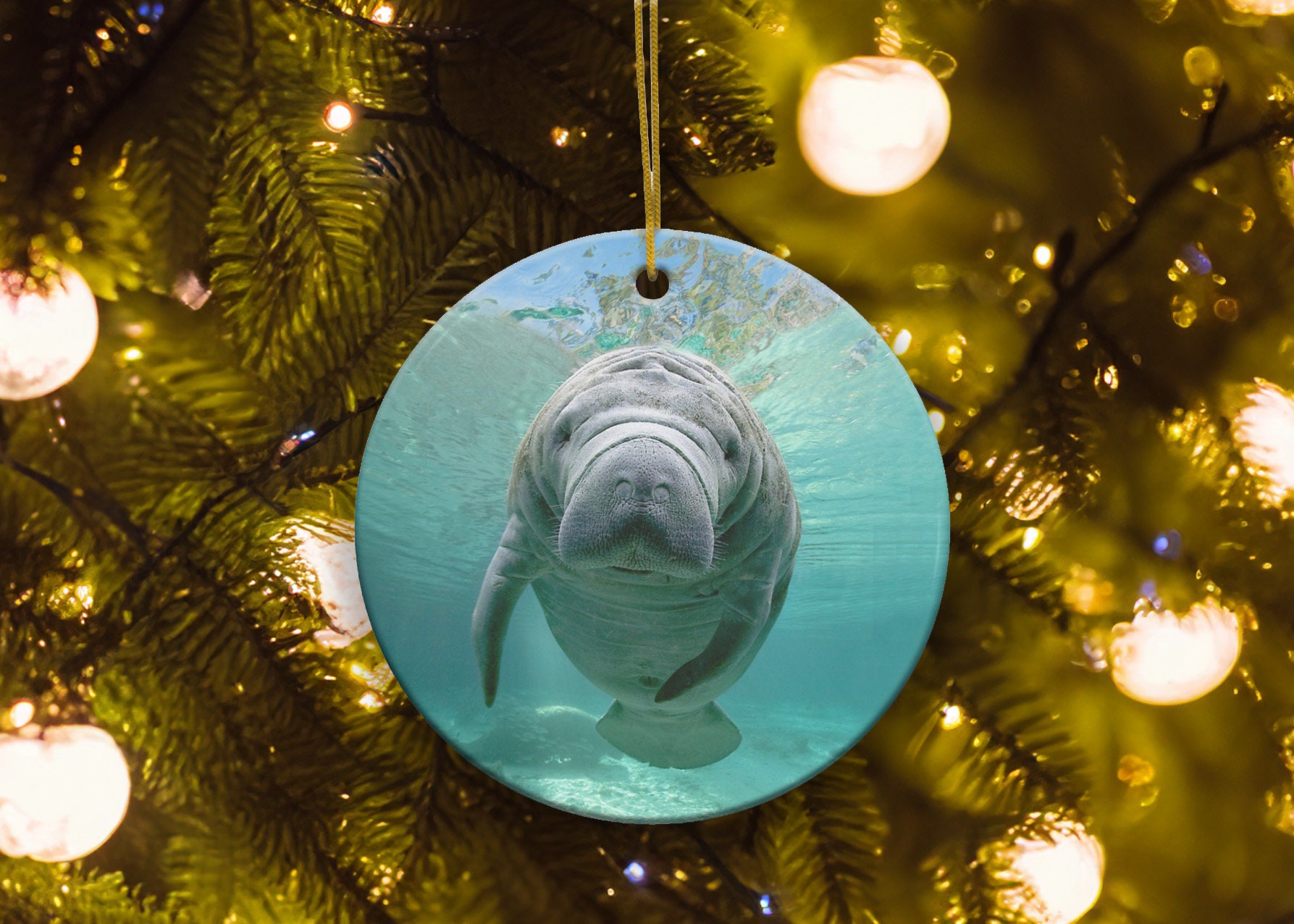 Cute Baby Manatee Ceramic Christmas Holiday Ornament 2.76 Inch Round ...