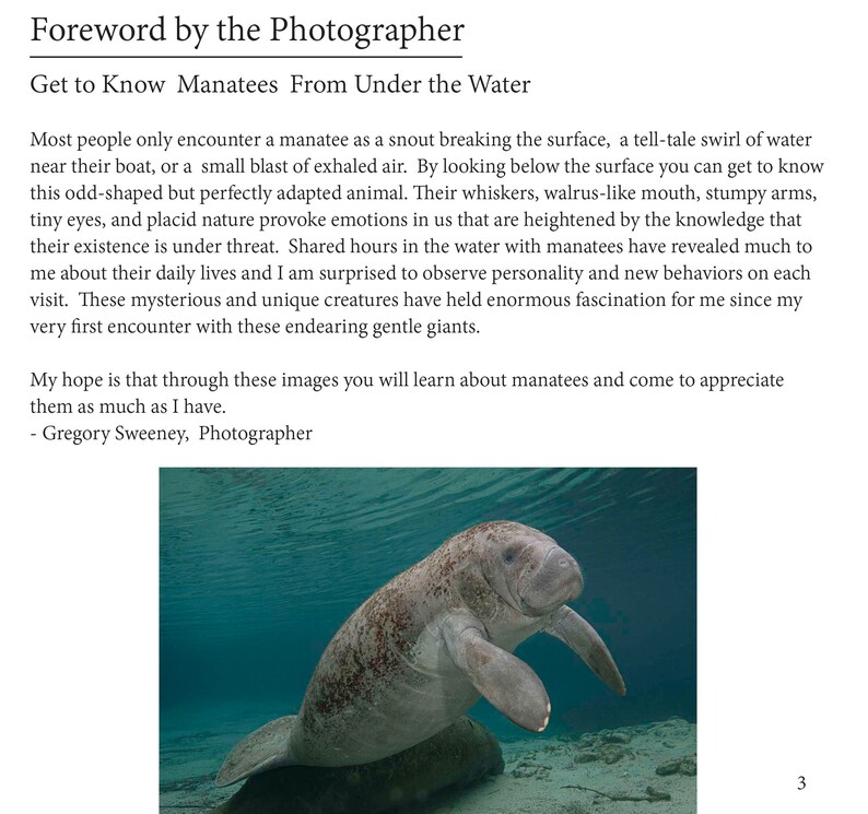 Manatees the Gentle Giants Book Full of Manatee Underwater - Etsy