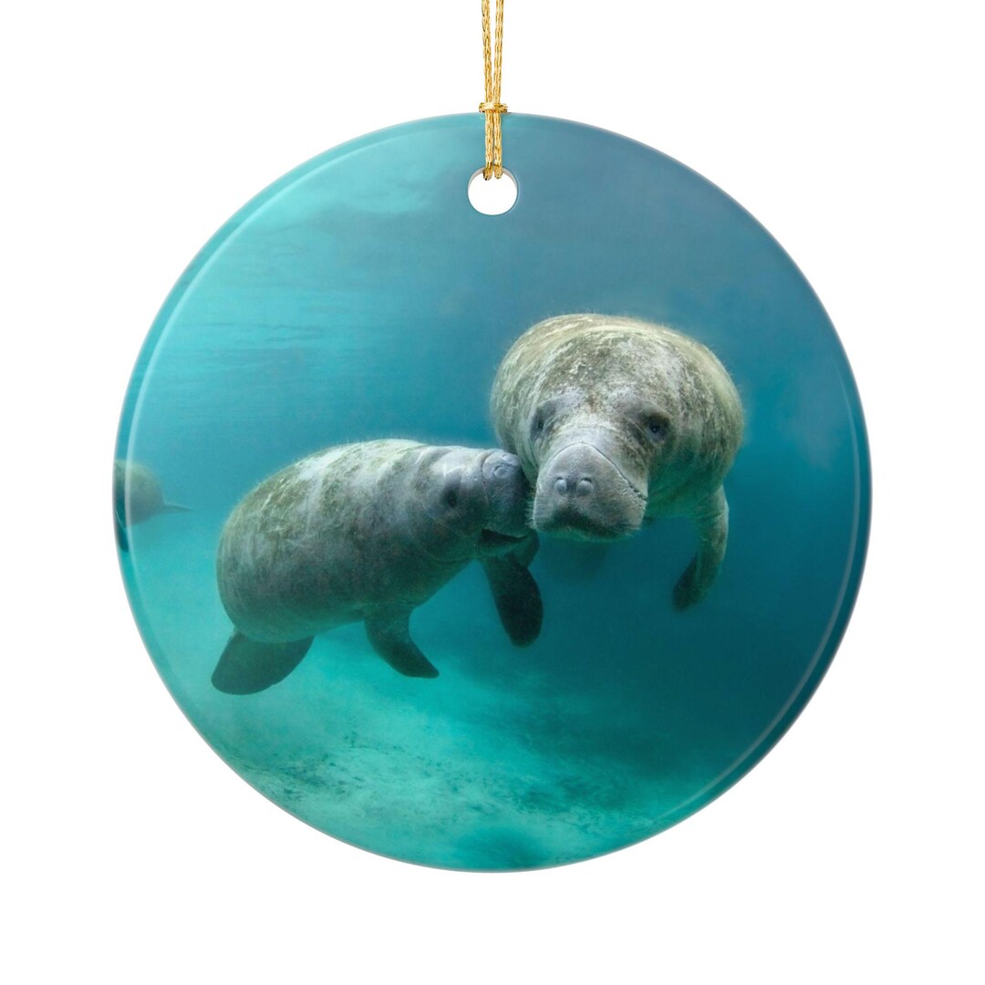 Baby and Mother Manatee Ceramic Christmas Holiday Tree Ornament, Add ...