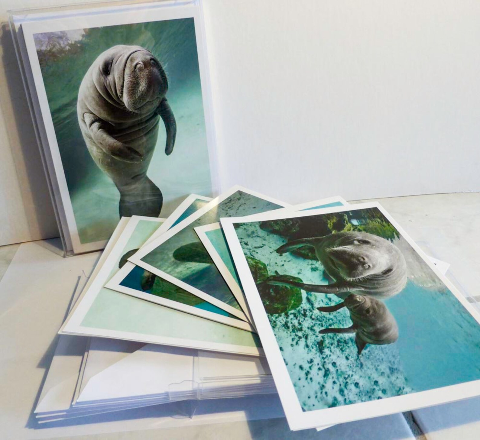 Manatee Photo Notecards, Set of 6 Blank Greeting Cards With Envelopes ...