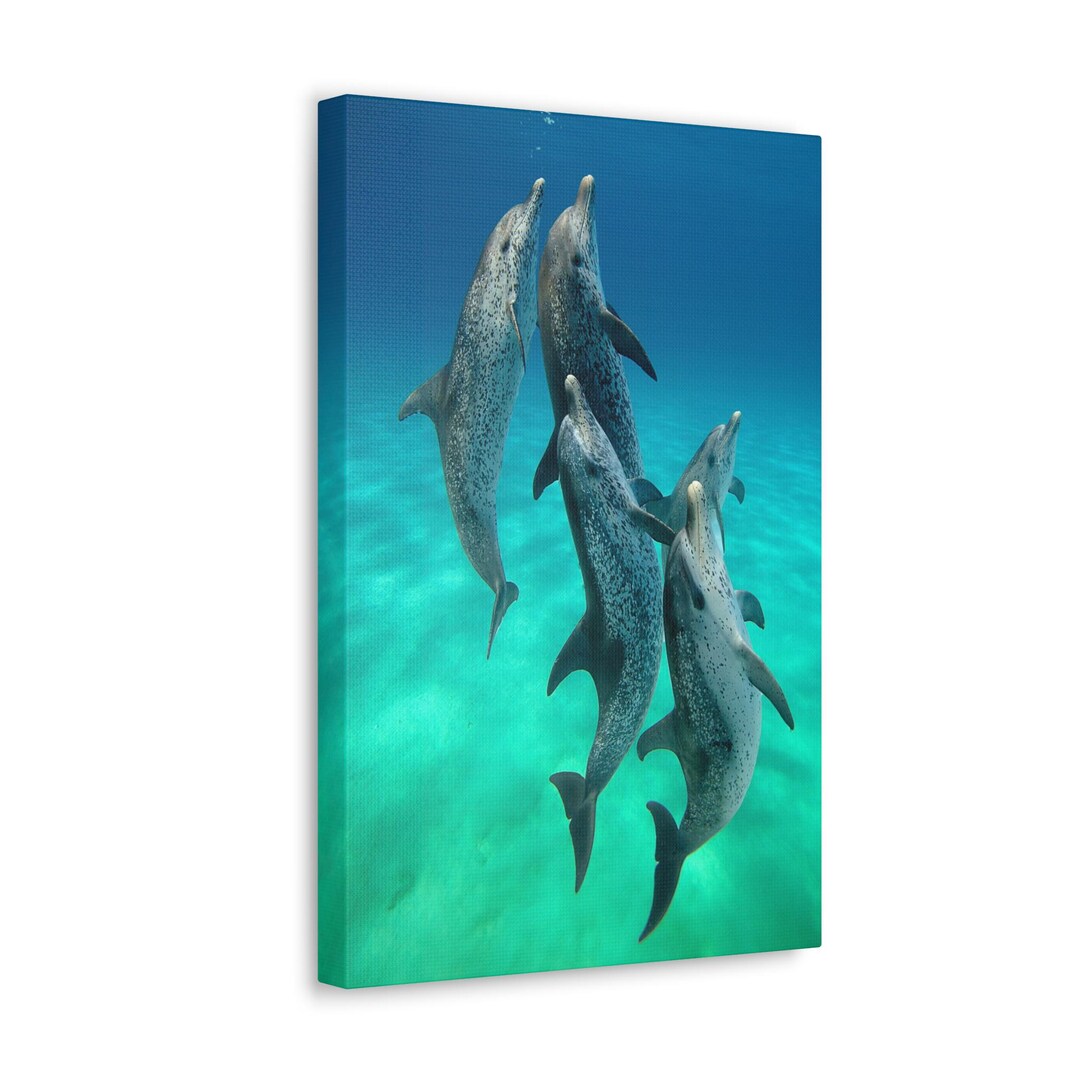 Dolphin Pod Canvas Wall Art Underwater Photography - Etsy