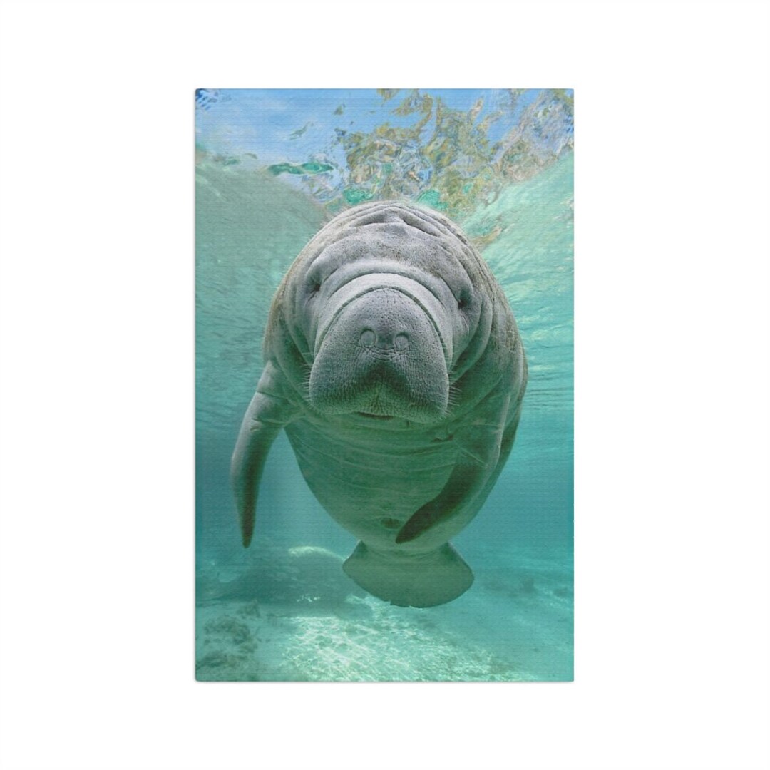 Tea Towel Cute Baby Manatee Microfiber Cloth for Kitchen or Bath - Etsy