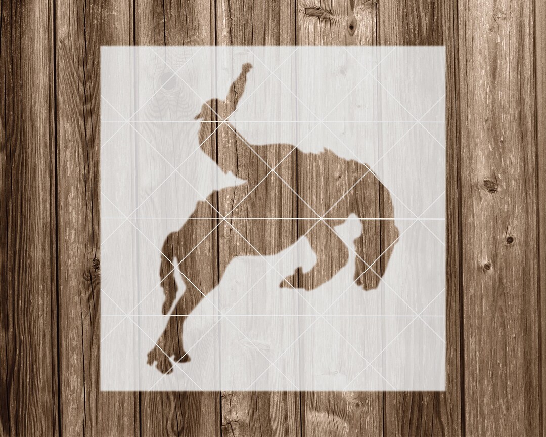 Rodeo Stencil, Reusable Stencil for Painting, 2100 - Etsy