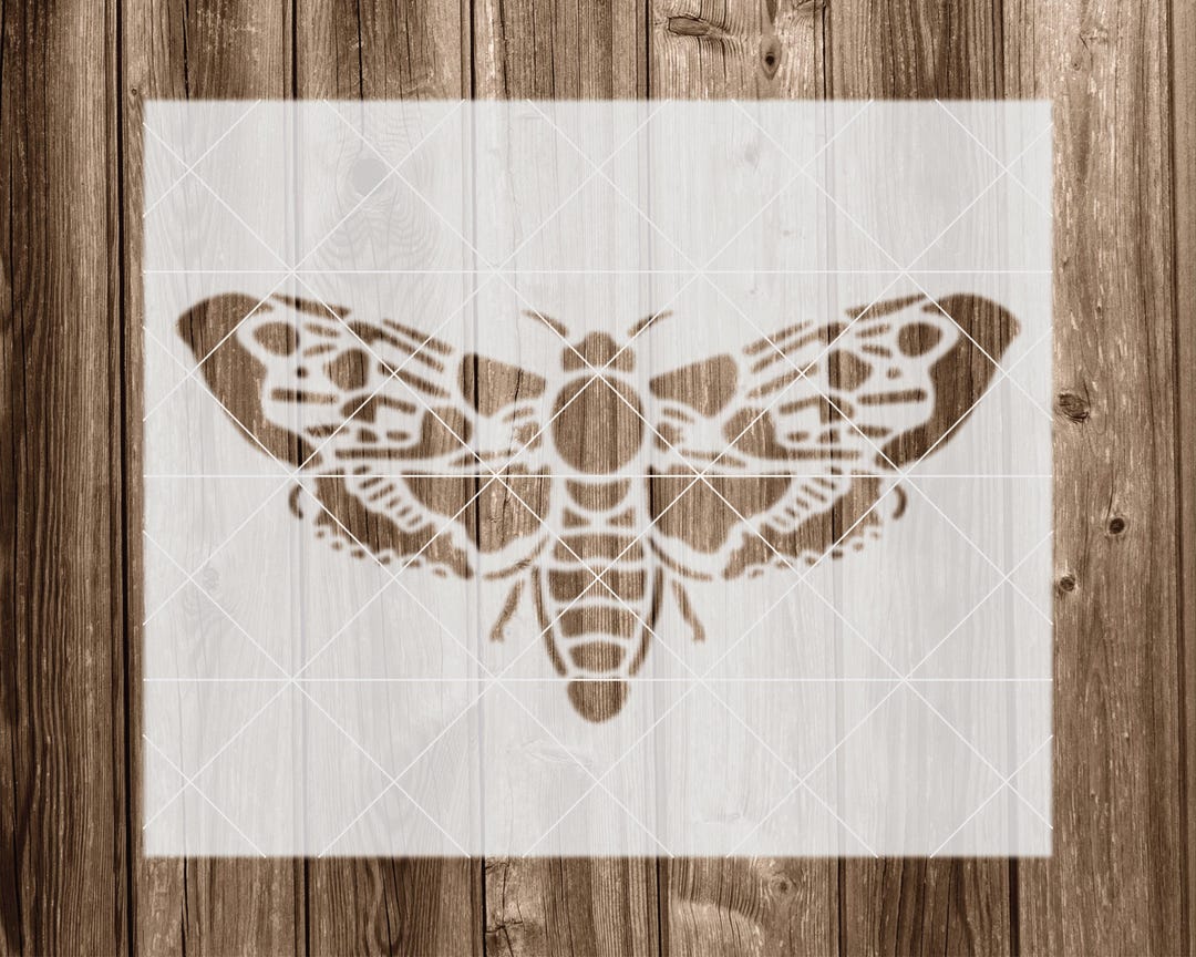 Moth Stencil, Reusable Stencil for Painting, 2281 - Etsy