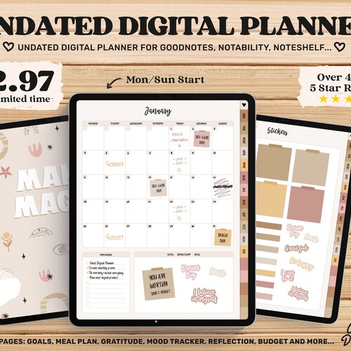 Daily Planner Goodnotes Template Undated Digital Planner - Etsy