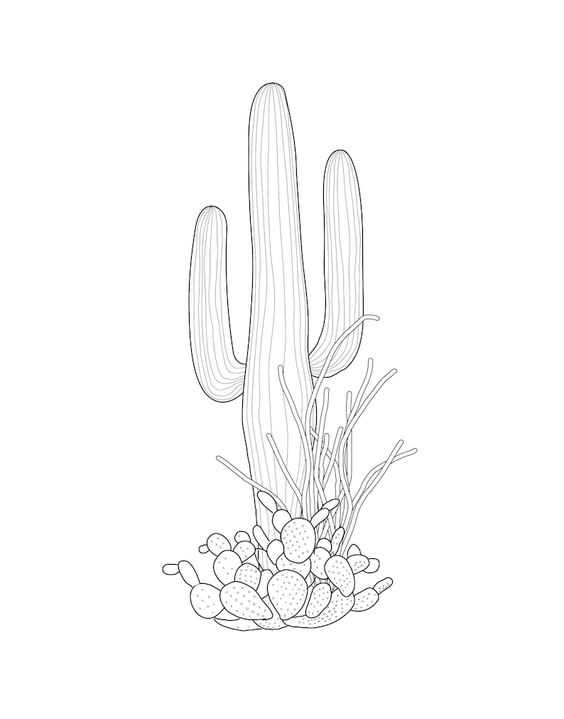 Cactus Garden Digital Print - Etsy