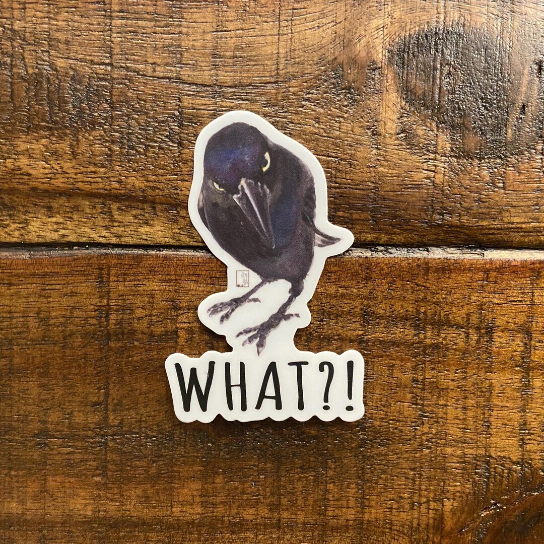 What Crow Premium Vinyl Sticker, Crow Art, Raven Art, Animal Art ...