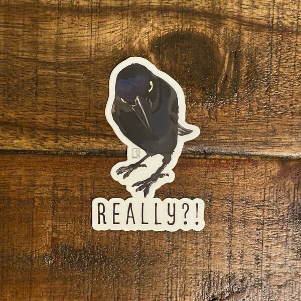 Temporary Raven Decals - Etsy