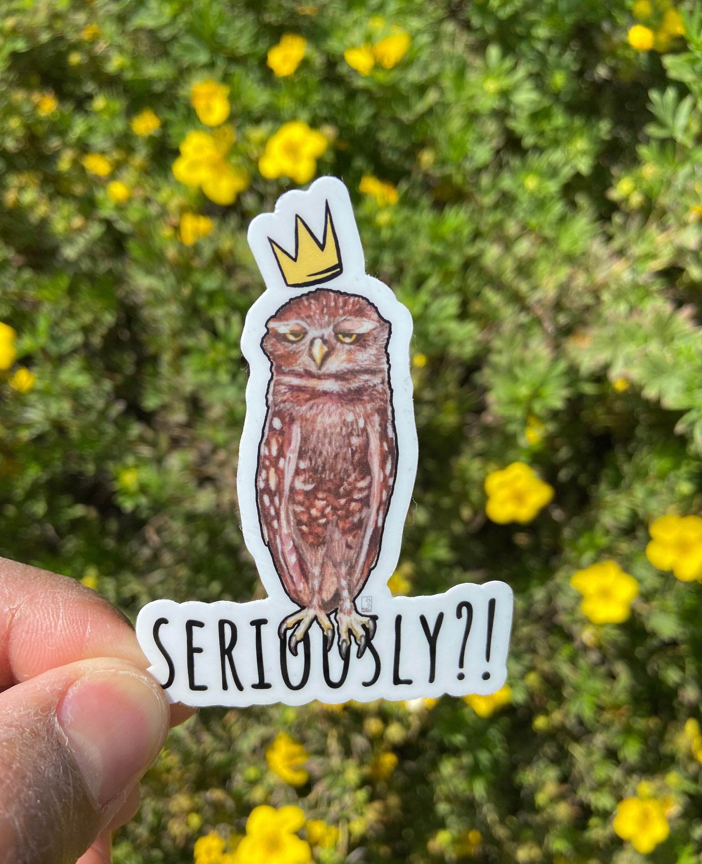 Srsly Owl