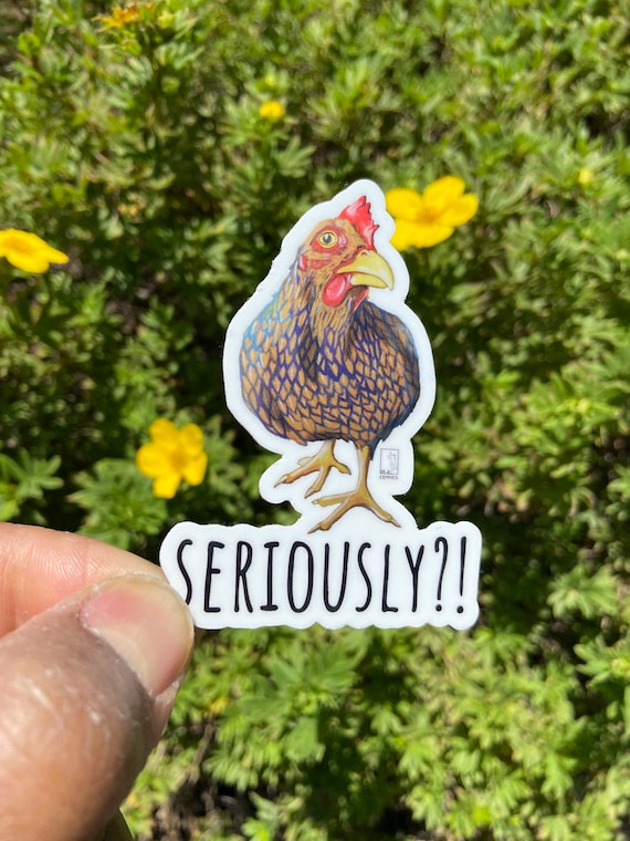 Seriously Chicken Premium Vinyl Sticker Chicken Art Animal - Etsy