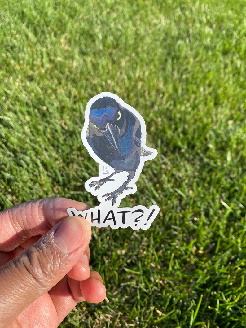 A Murder of Crows Sticker Sheet Crow Art Raven Art Animal | Etsy