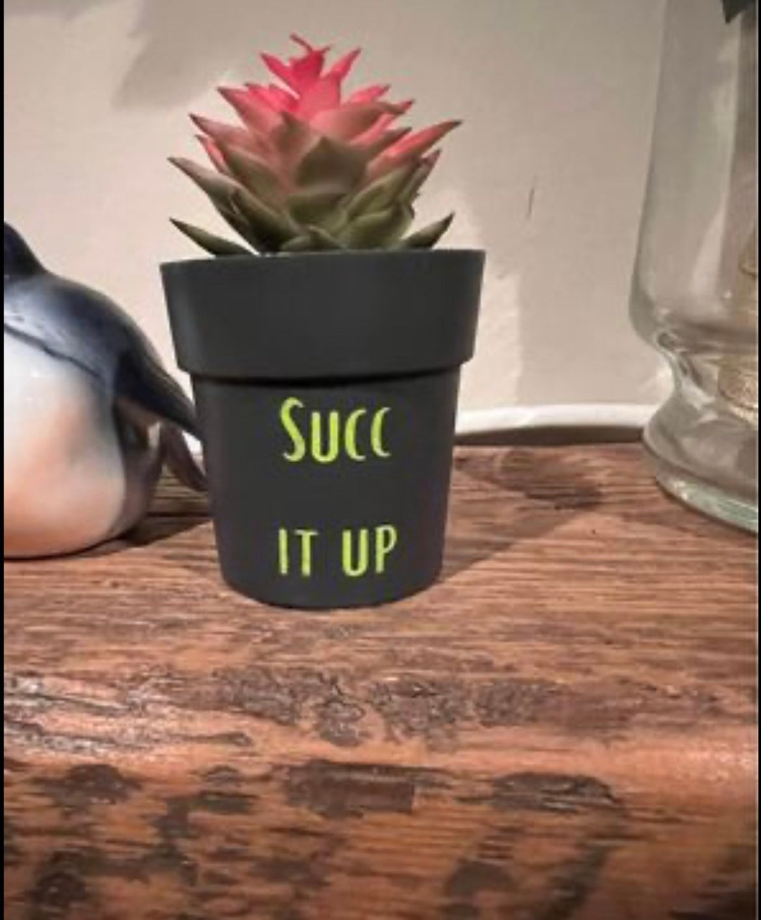 Fake Plant | Sarcastic Humor | Small Plant | Succulent | Humorous ...