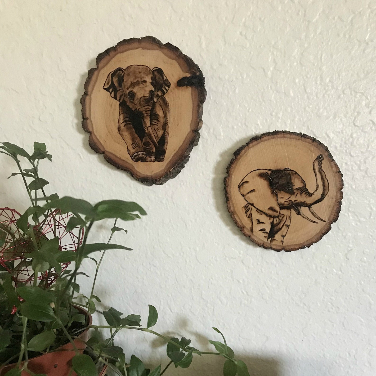 Elephant Wood Burn Art /set of Two Coaster Size Ready to Hang Plaques ...
