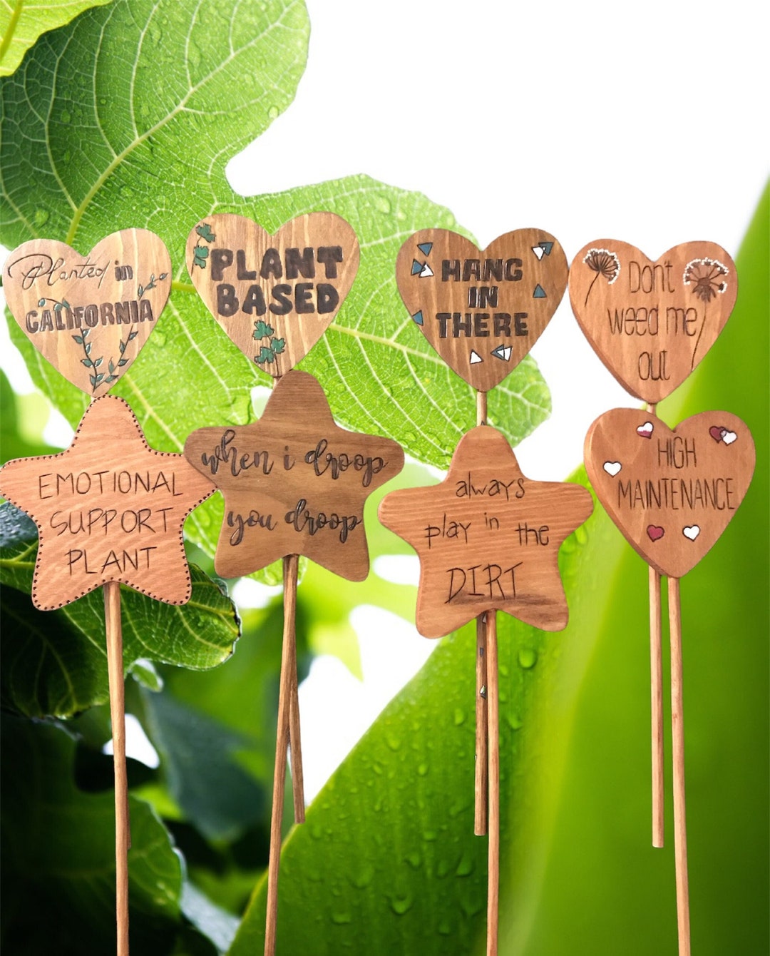 Indoor Plant Signs, Decor for Your Plants, Plant Accessories - Etsy