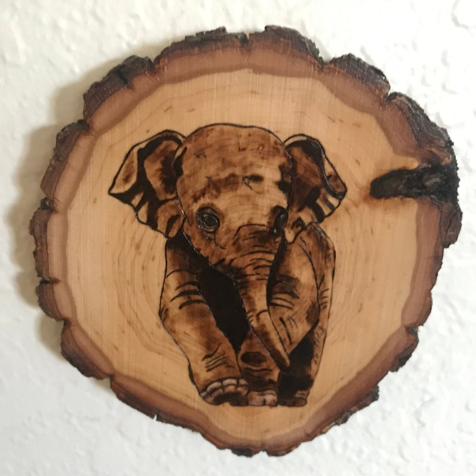 Elephant Wood Burn Art /set of Two Coaster Size Ready to Hang - Etsy