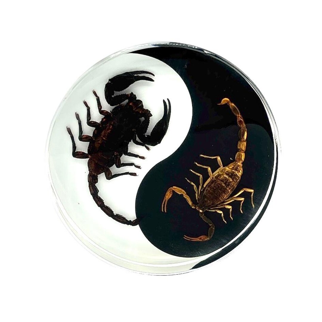 Scorpion Yin Yang Paperweight 3.7x3.7x0.8 Inches - Etsy