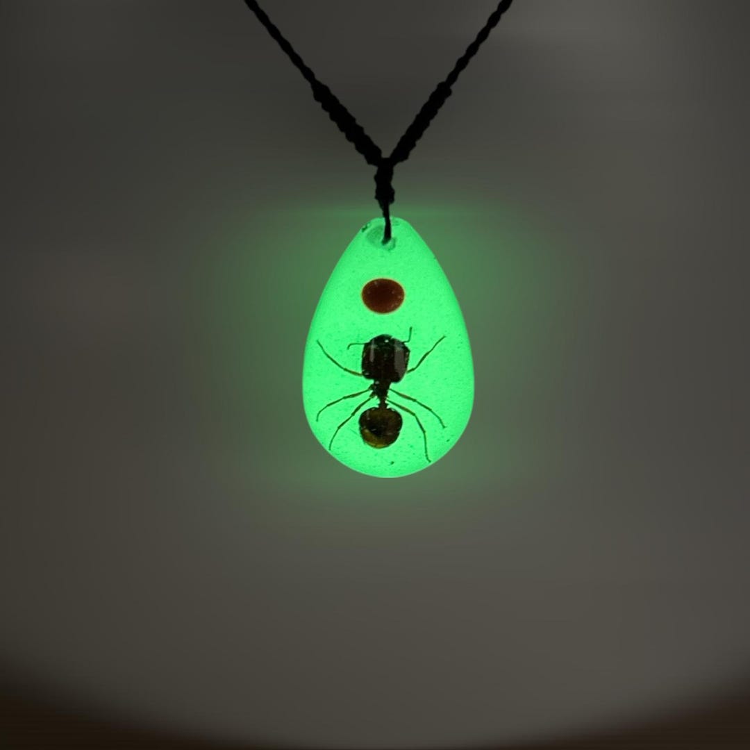 Lucky Bean & Ant Necklace Glow in the Dark - Etsy