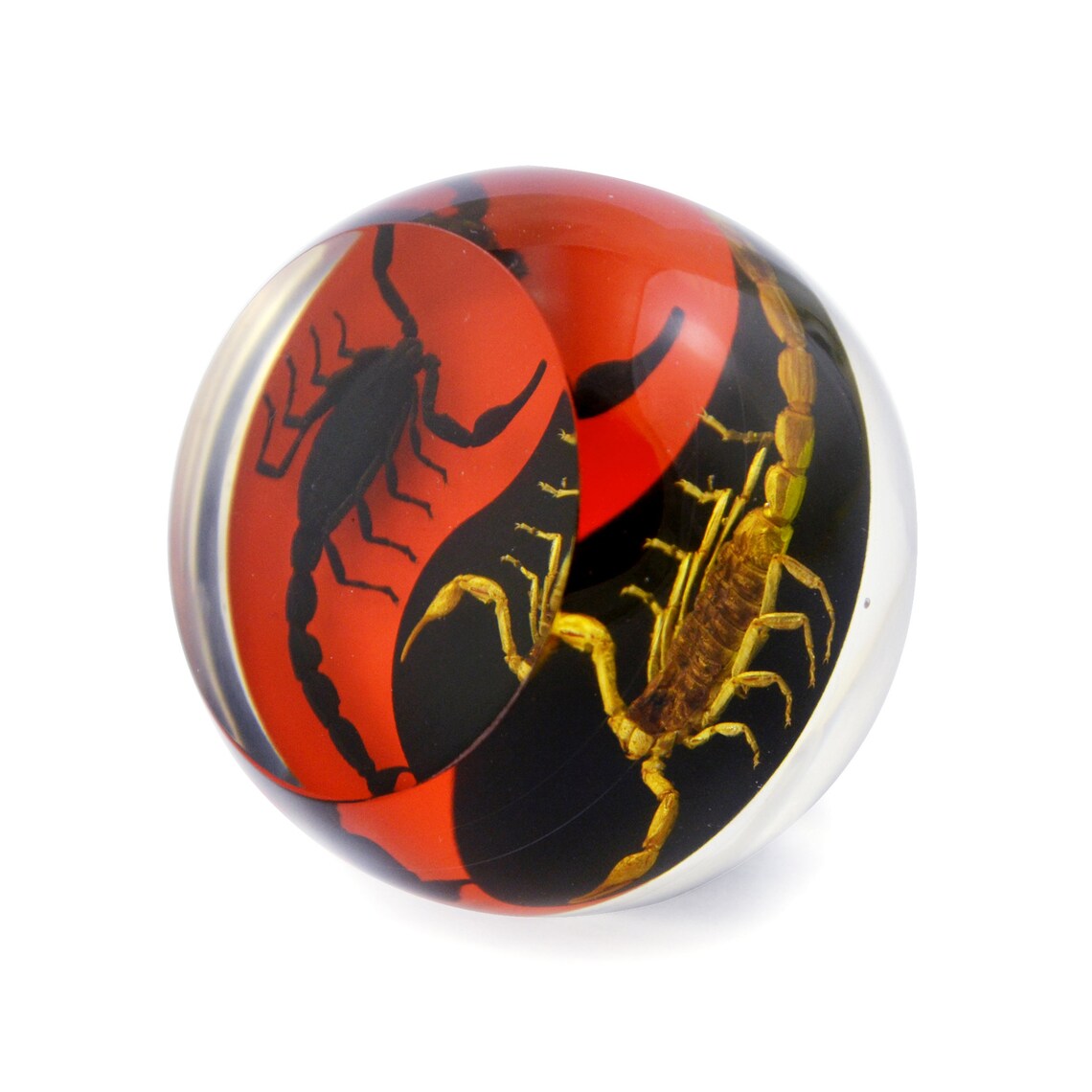 Scorpion Yin Yang Paperweight 2.4x2.4x2.2 in | Etsy