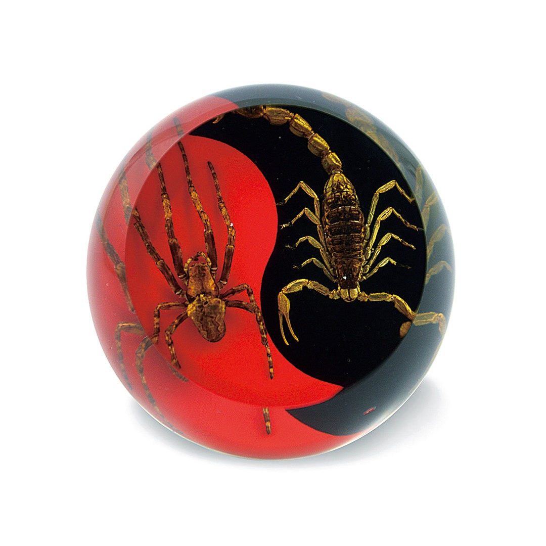 Scorpion Yin Yang Paperweight 2.4x2.4x2.2 In - Etsy