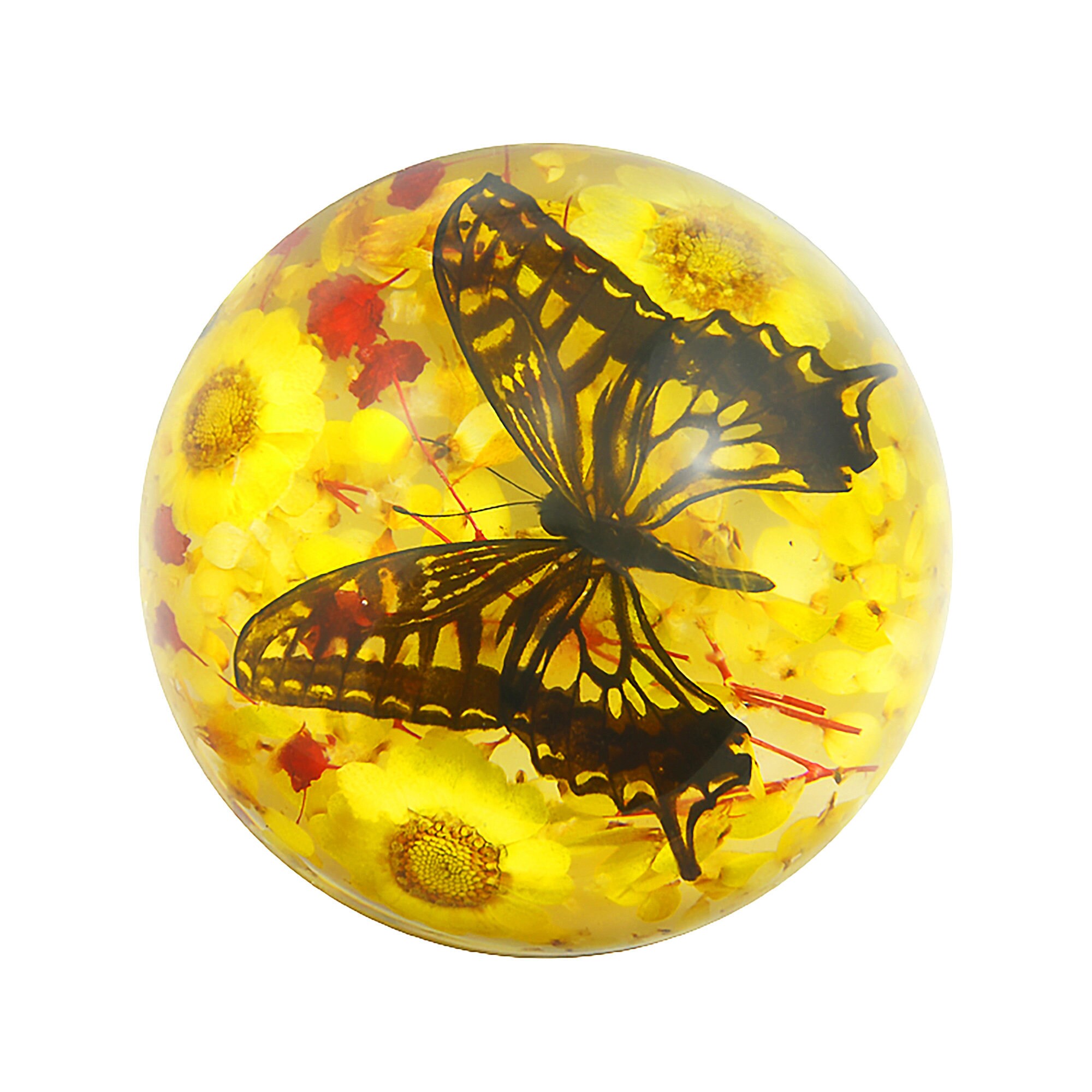 Butterfly Amber Fossils