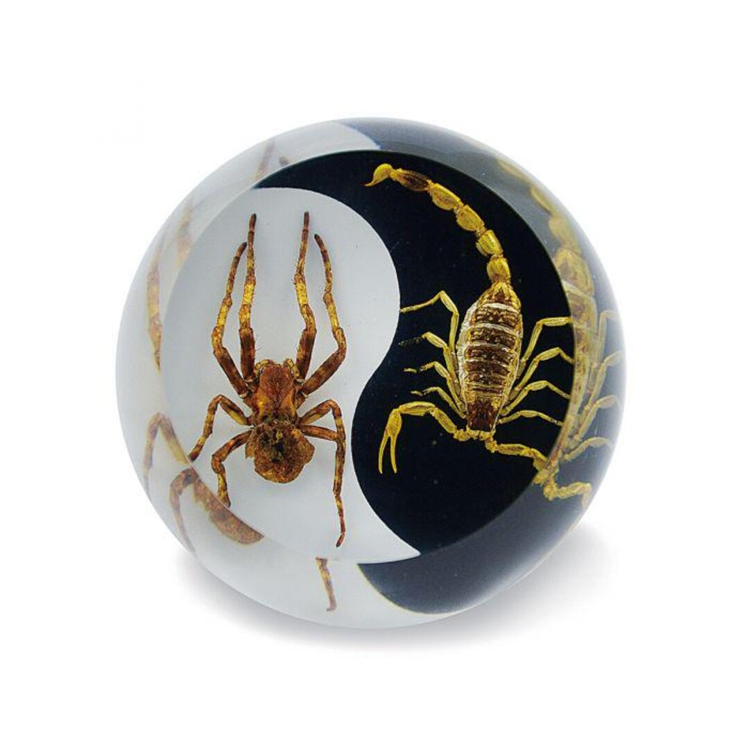 Scorpion & Spider Yin Yang Paperweight Black and White 2.4x2.4x2.2 In ...