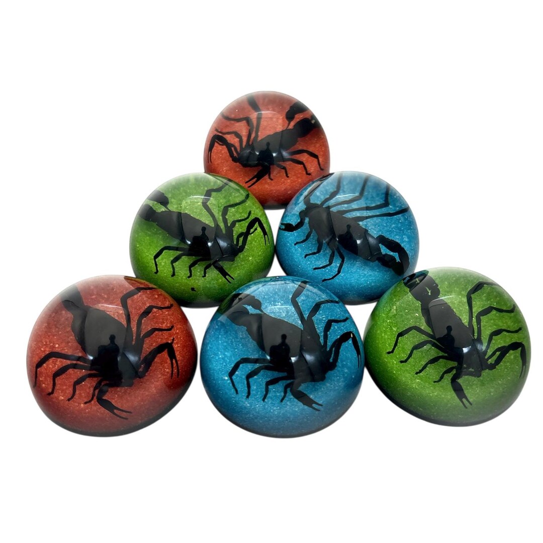 Insect Party Favors - Real Black Scorpions, Set of 6 - Etsy