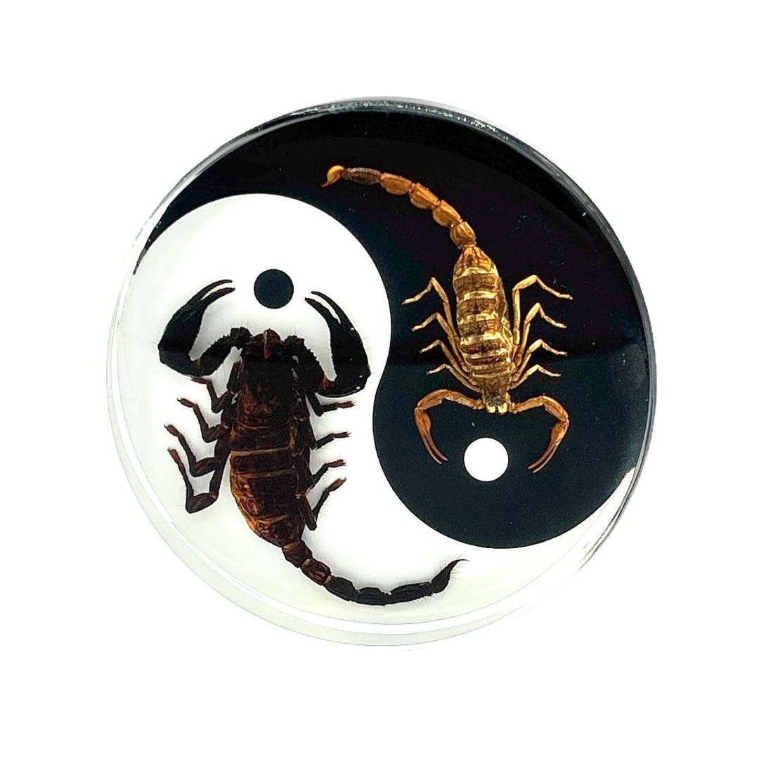 Scorpion Yin Yang Paperweight 3.4x3.4x0.8 In - Etsy