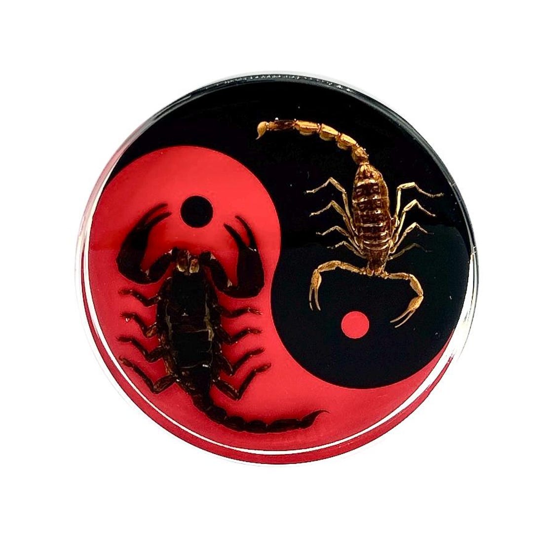Scorpion Yin Yang Paperweight 3.4x3.4x0.8 In - Etsy